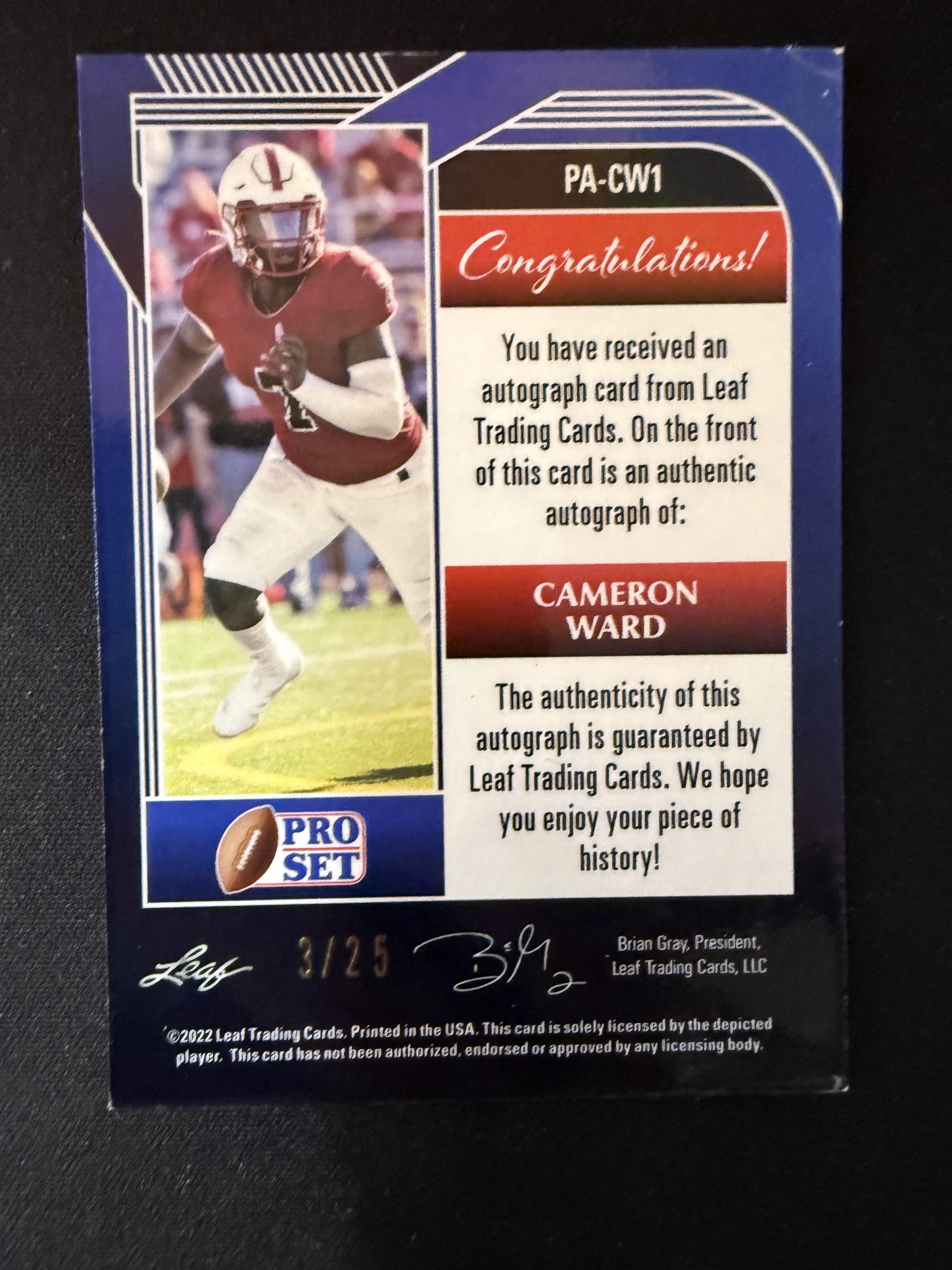 #PA-CW1 Cameron Ward 2022 Pro Set Metal SN,AU Auto #/25 Wave Purple ...