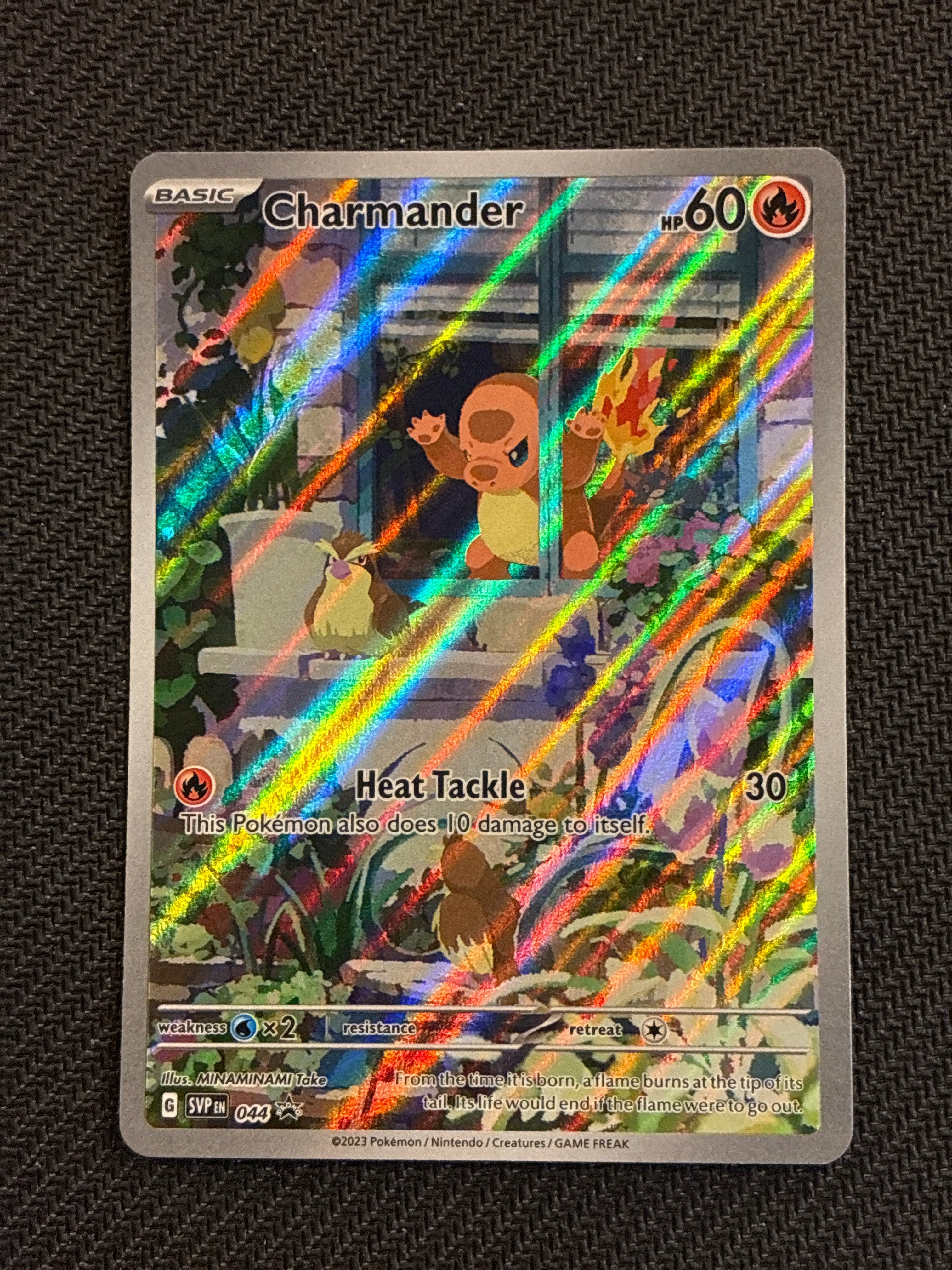 Charmander #044 - Black Star Scarlet & Violet Promo – Clubhouse Cards