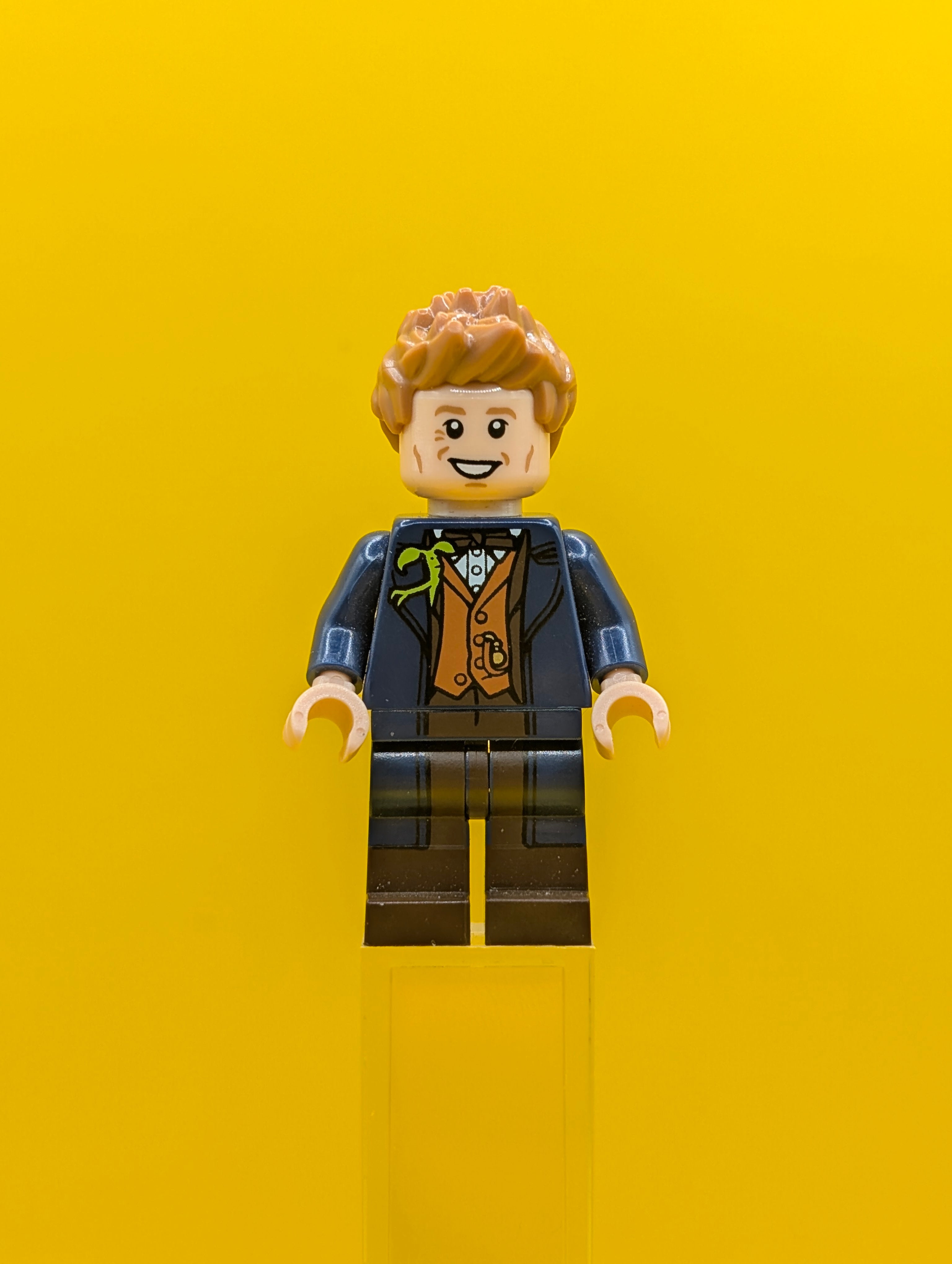 Newt Scamander colhp17 Harry Potter, Series 1 (Minifigure Only without ...